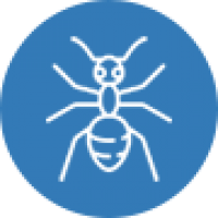 Formula Pest Control : Melbourne based Pest Control Service