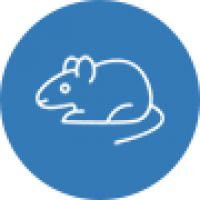 Formula Pest Control : Melbourne based Pest Control Service